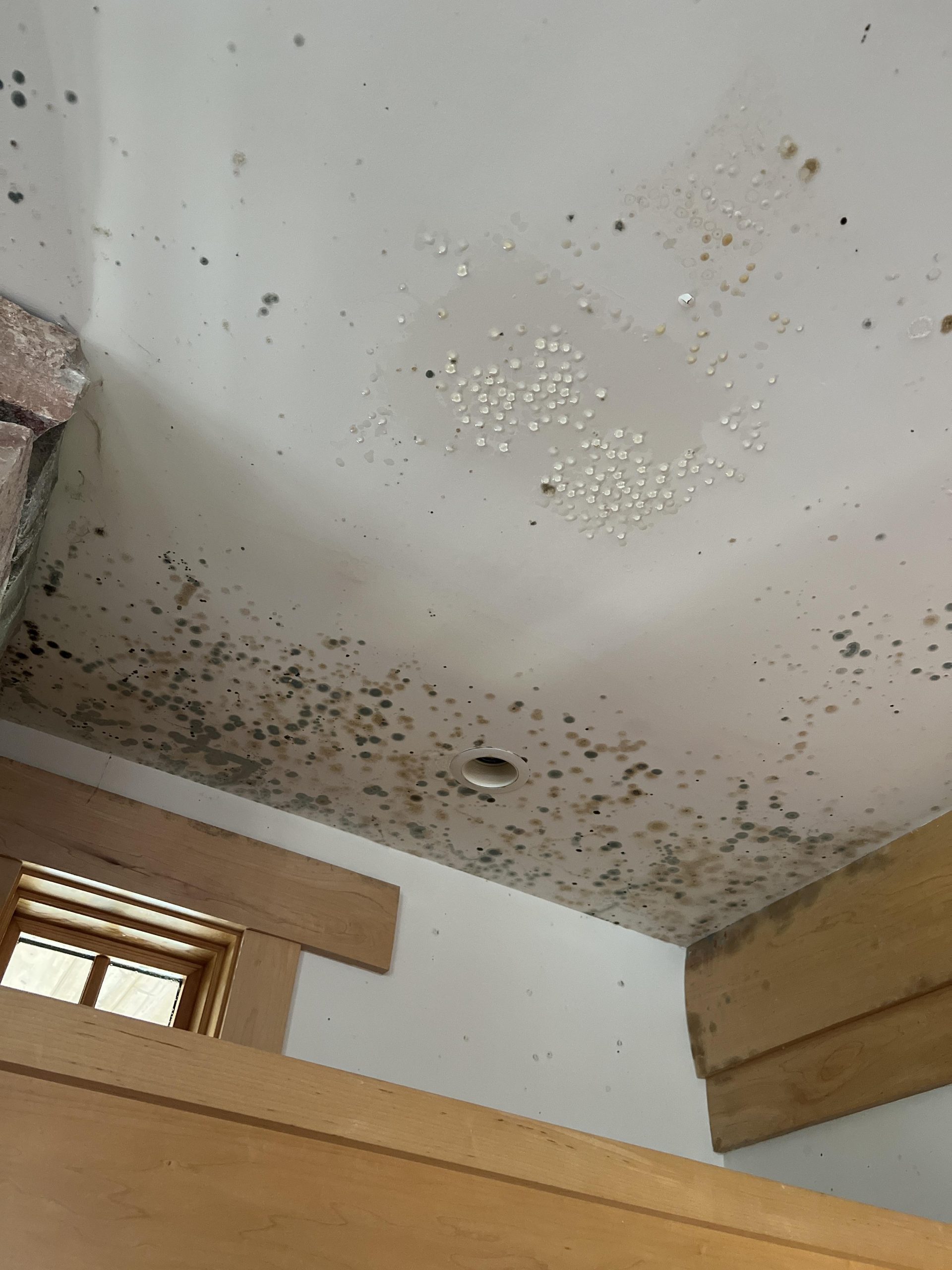 Burst Pipe Cleanup & Restoration | Emergency Water Damage | Bedrock ...