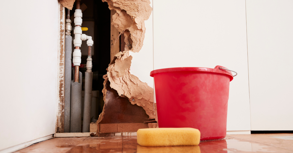How to Dry Wet Floors and Walls After Water Damage: What Actually Works ...