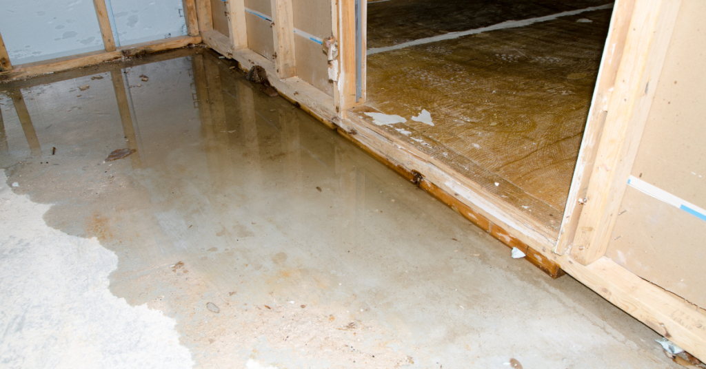 How to Find the Source of Water Damage in Your Home: A Step-by-Step ...